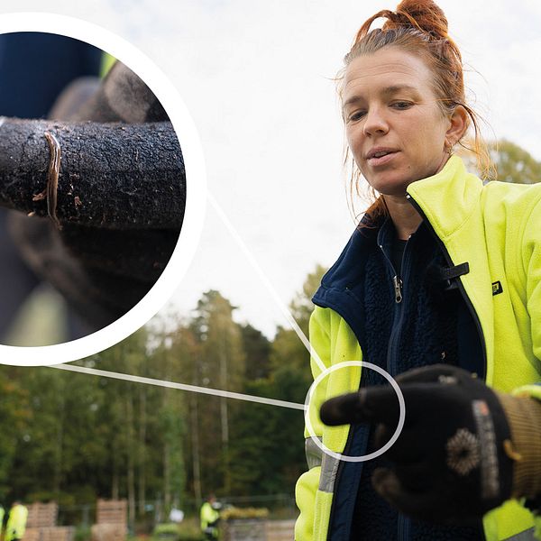 Här avrättades Zlatko Vulic – polisen ber om tips | SVT Nyheter