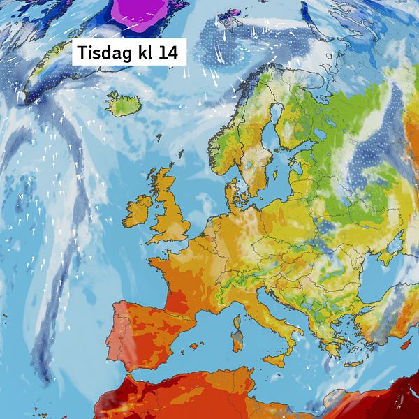 Väderprognos för Staden | SVT Nyheter