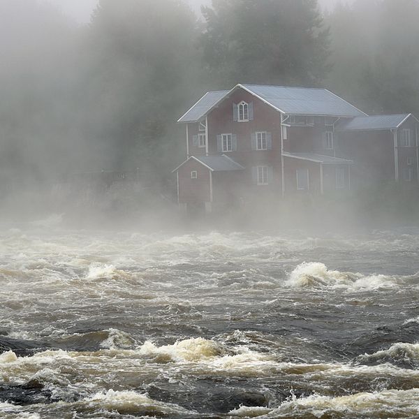 Tittarnas väderbilder till SVT Väder | SVT Nyheter