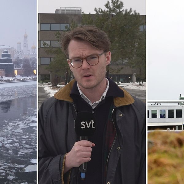 Svenska Dagbladet | SVT Nyheter