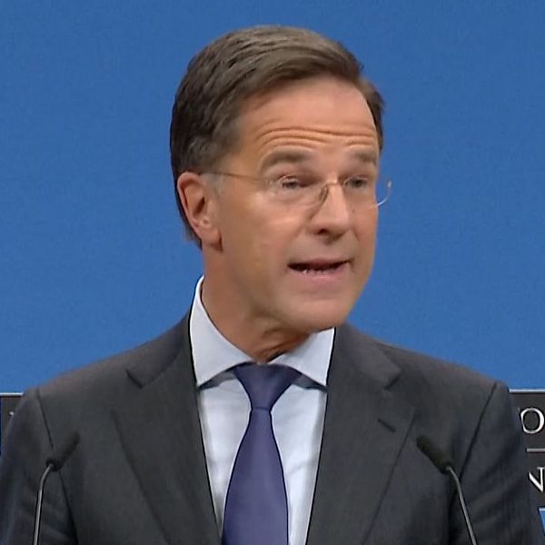 Mark Rutte | SVT Nyheter