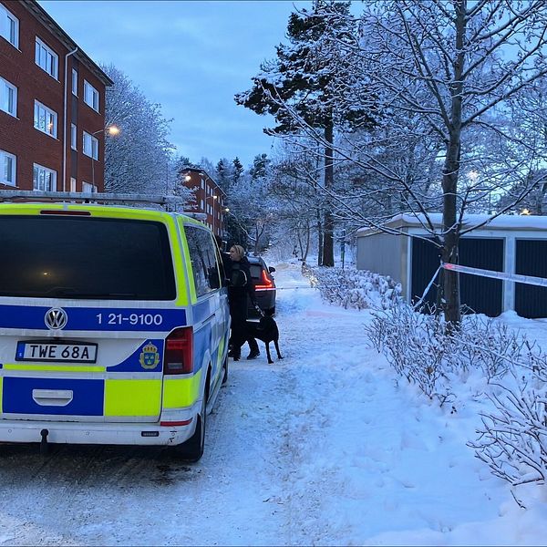 Kvinna döms till rättspsykiatrisk vård för mordet på Lisbeth, 78 | SVT ...