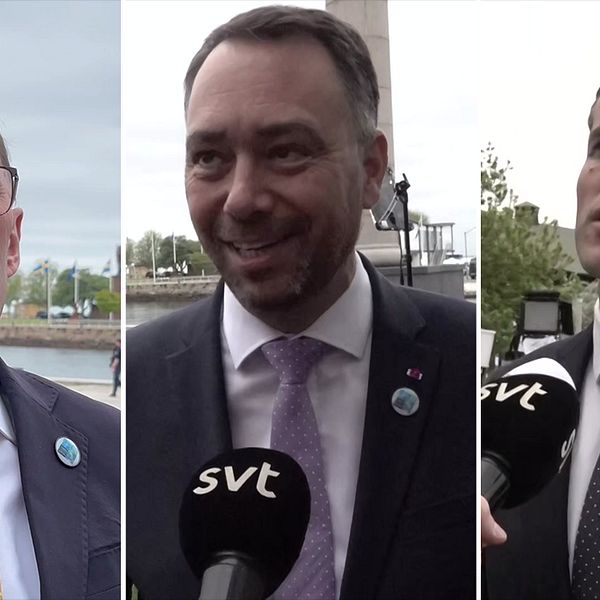 F 21 i Luleå redo för Natos uppdrag – ska avskräcka krig | SVT Nyheter