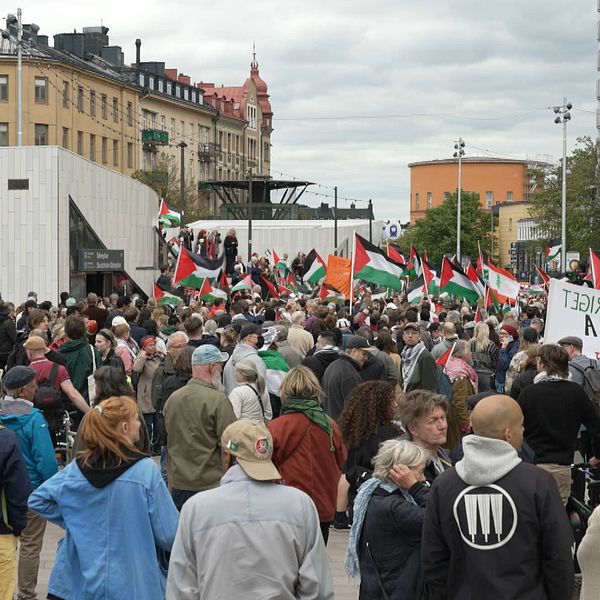 Busslinjer i Stockholm dras om – demonstration ska hållas varje lördag ...