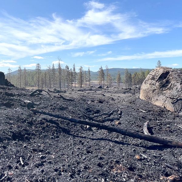 Fullt utvecklad brand i industrilokal i Borlänge | SVT Nyheter
