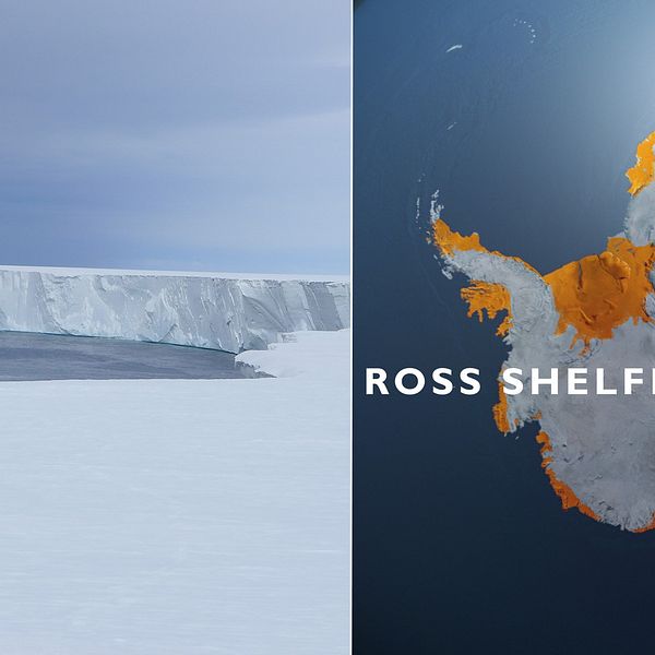 Minnesmonument över Islands första döda glaciär | SVT Nyheter