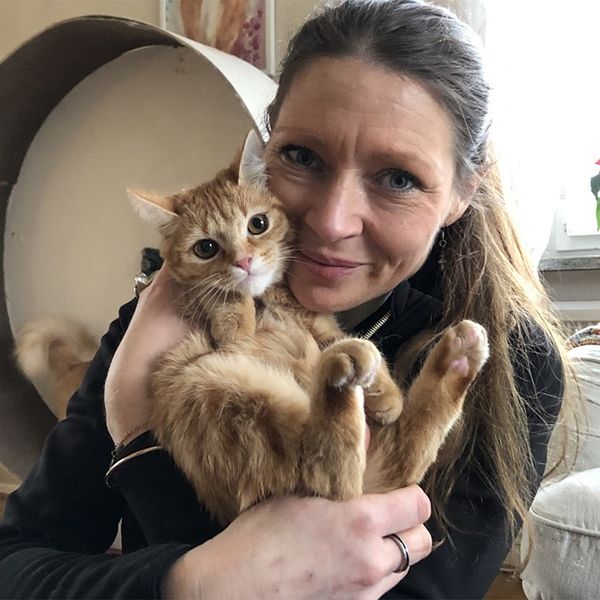 Glad katt eller missnöjd katt? – testa din kunskap | SVT Nyheter
