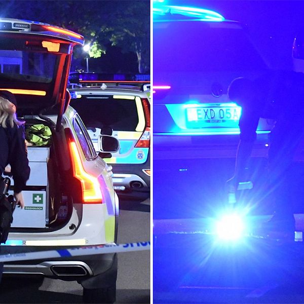 Sex Män Anhållna För Tre år Gammalt Mord I Helsingborg Svt Nyheter