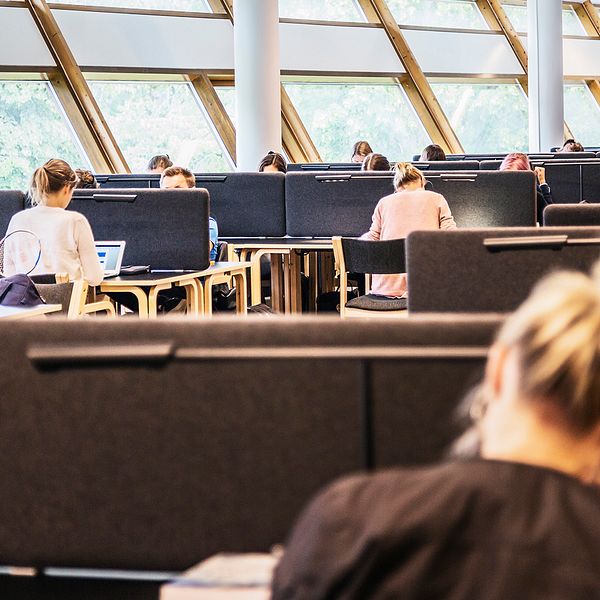 Fler studenter stängs av från Stockholms universitet för AI-fusk | SVT ...