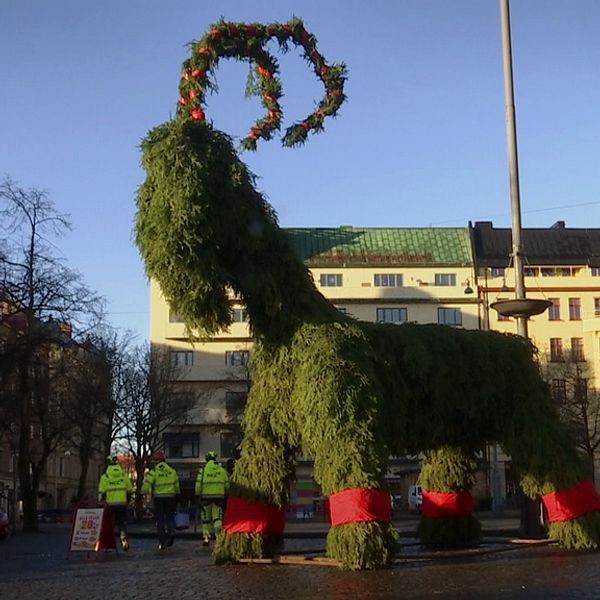 Här anländer julbocken Julius till Örebro | SVT Nyheter
