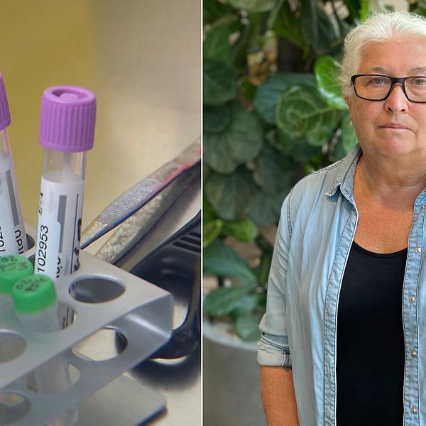 Spanien bekräftar: Ännu en person död i apkoppor | SVT Nyheter