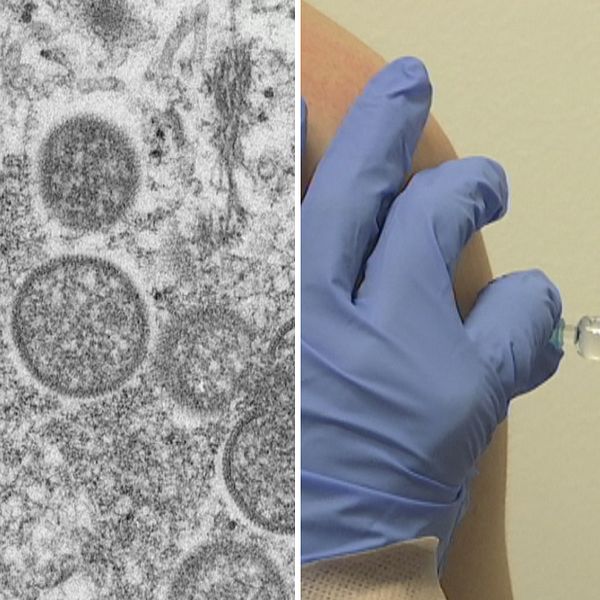 Spanien bekräftar: Ännu en person död i apkoppor | SVT Nyheter