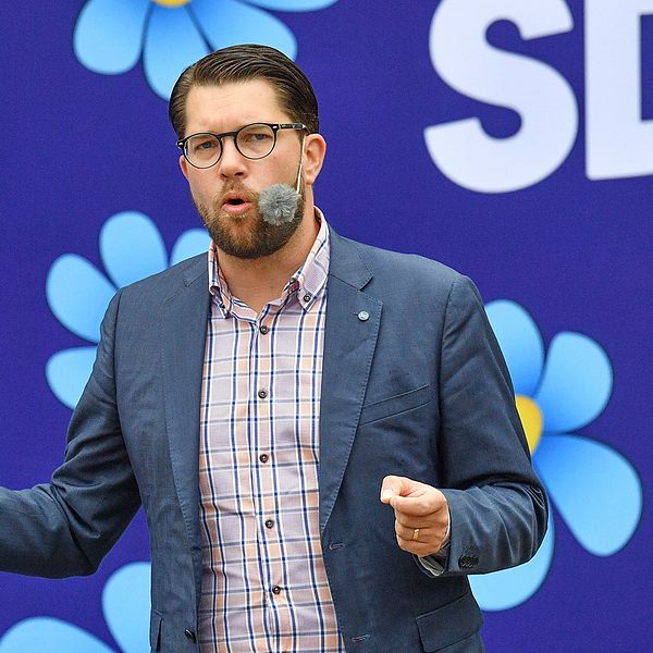 Statsvetaren Här är Tre ämnen Åkesson Sd Helst Vill Undvika Svt
