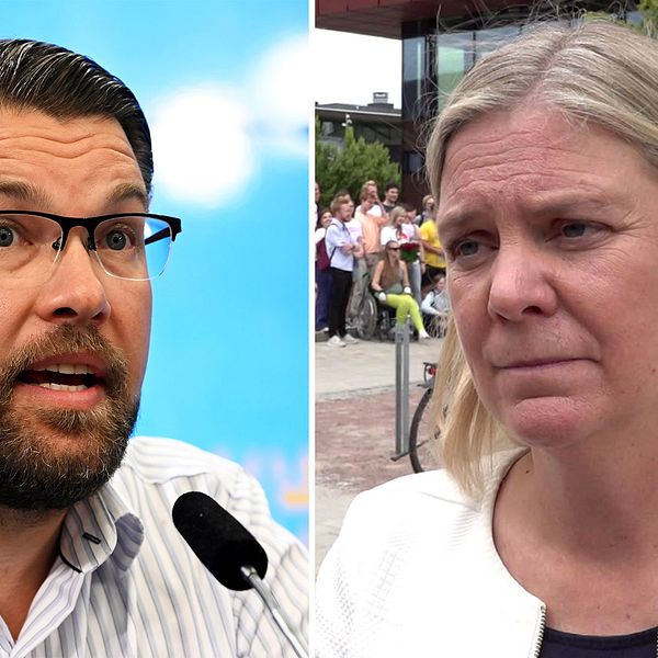 Andersson ”exakt Det Nazisterna Gjorde På 30 Talet” Svt Nyheter