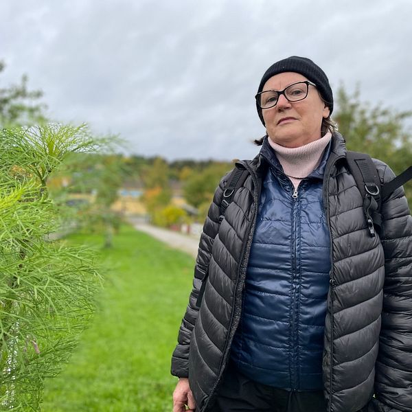 Bråk och polisanmälningar på grund av en kolonistuga | SVT Nyheter