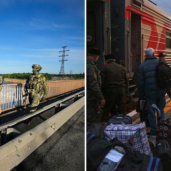 Elfving om kraftverket: ”Sprängs det spolas Cherson i princip ut i ...