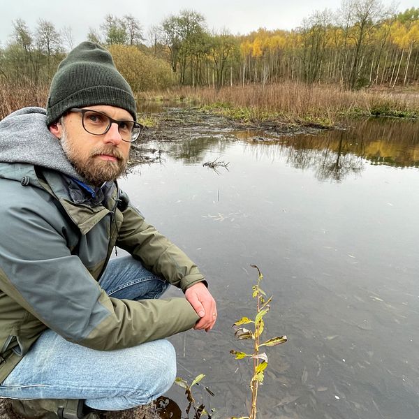 Bäcken ska rusta Båstad mot klimatförändringarna – ”Mycket pang för ...