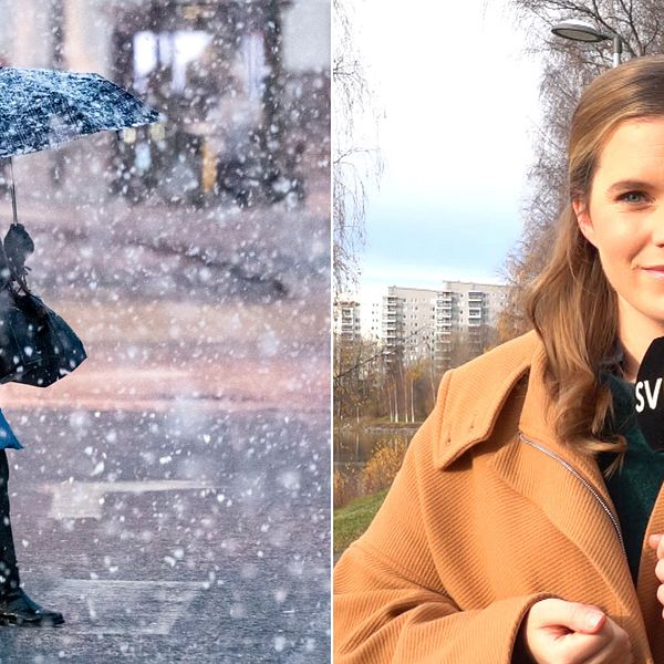 Från sommar till vinter på en vecka – i helgen kommer snön till Skåne ...