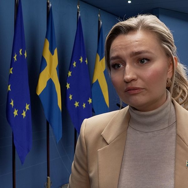 Ministern Om Kritiken ”då Kommer Vi Ha En Helt Annan Diskussion” Svt