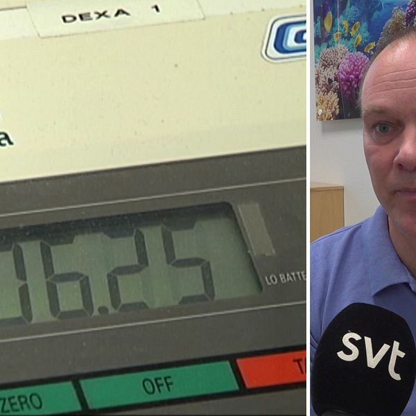 Fetma hos små barn ökade under pandemin – se barnläkaren förklara | SVT ...