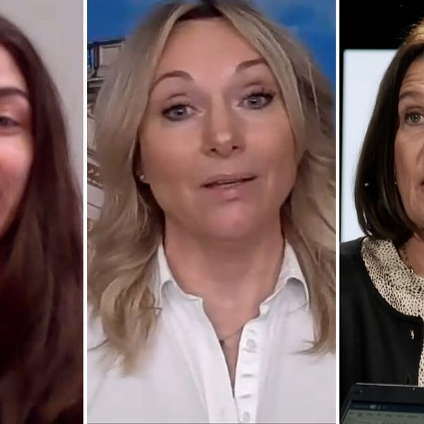 Ministern Om Hårda Sd Kritiken ”beklagar Att De Finns” Svt Nyheter