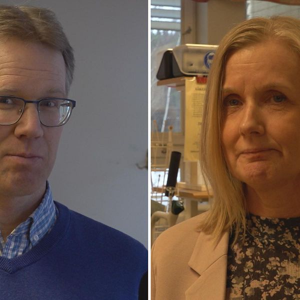 Skolledningen om rymdprojektet i Ludvika: ”Det kan stimulera ett intresse i tidig ålder” | SVT ...