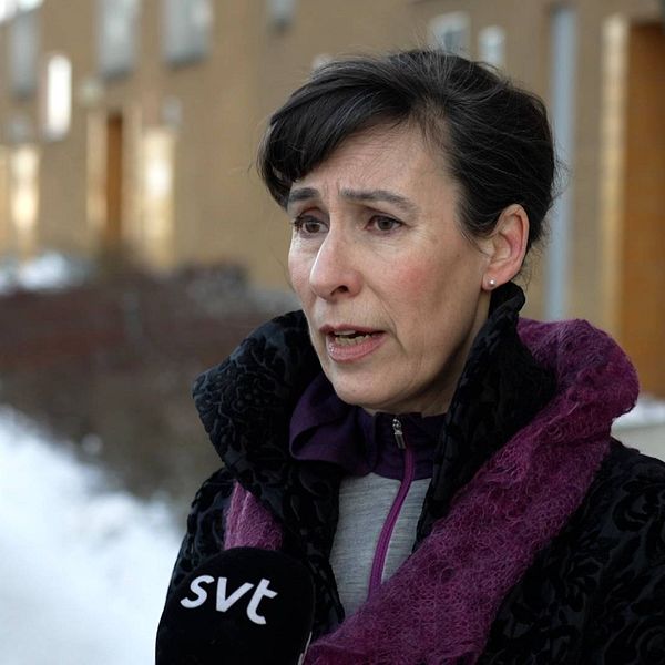 Irankännaren: ”Habib Chaab kommer högst sannolikt avrättas” | SVT Nyheter