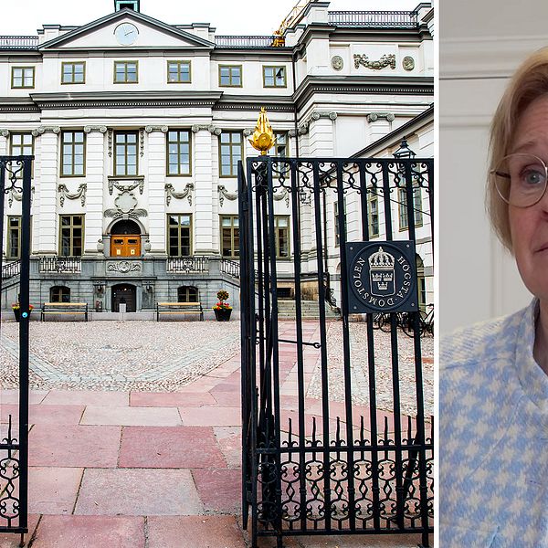 Riksåklagaren överklagar den uppmärksammade snippa-domen | SVT Nyheter