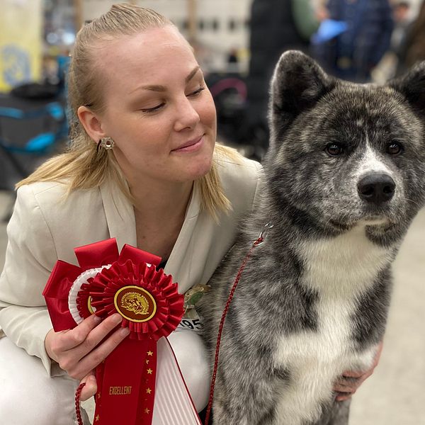 Neji är en av 1600 hundar som tävlar om titlar i Nordichallen i ...