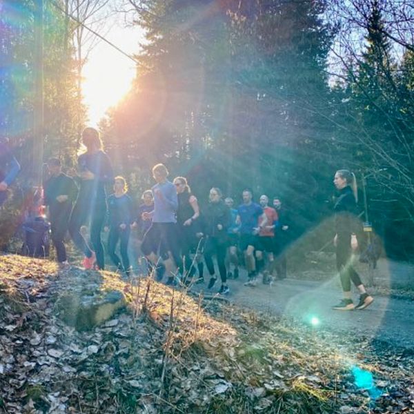 Springa i grupp – så funkar trenden som boostar din löpning | SVT Nyheter