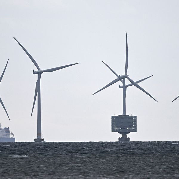 Regeringen vill se utökad vindkraft till havs | SVT Nyheter