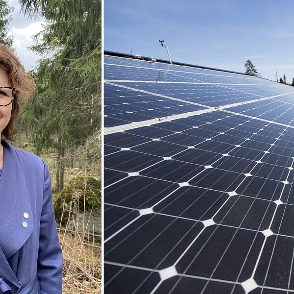 Sågverket utanför Åmotfors satsar på egen solel: ”Bidrar med grön energi” | SVT Nyheter