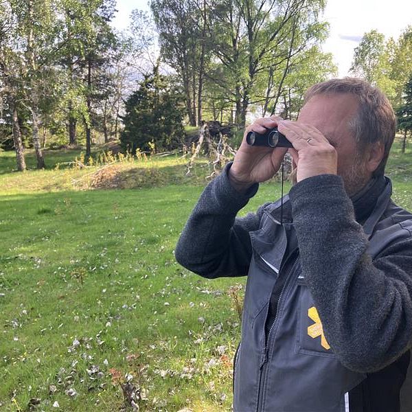 Tre Frågor Om Hur Påverkas Tyresta Nationalpark Av Nedskärningar