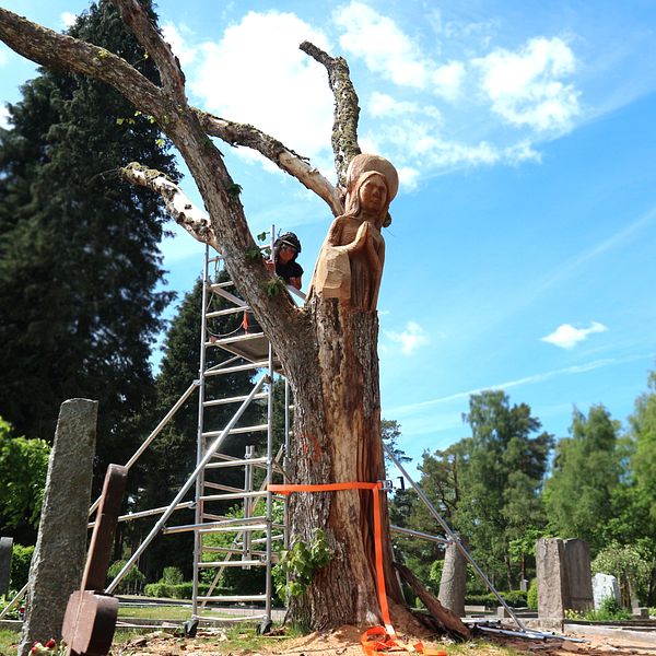 Döda almar blev till konst på Bredåkra kyrkogård | SVT Nyheter