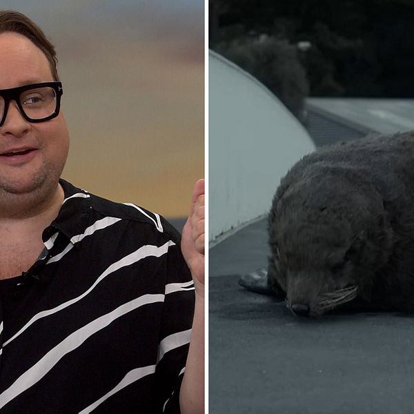 Fem tv-serier att se fram emot i sommar | SVT Nyheter