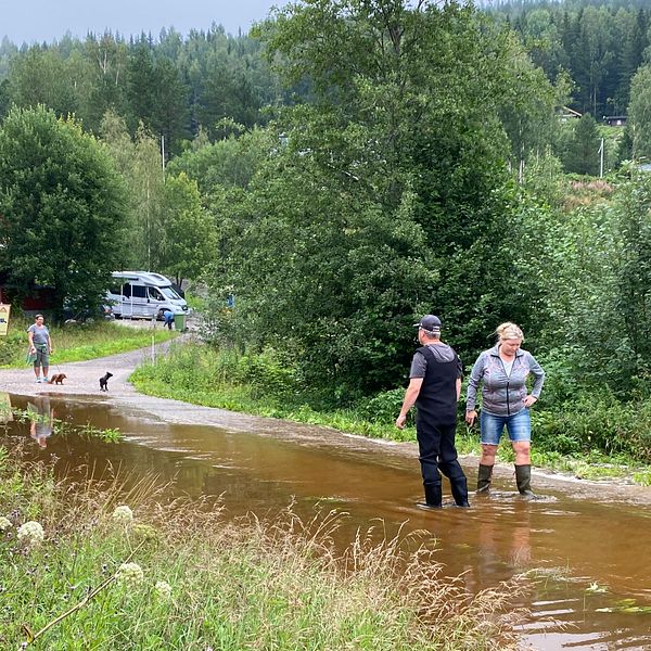 Boende i Nyängsviken i Hällsjö oroliga att väg ska spolas bort | SVT ...