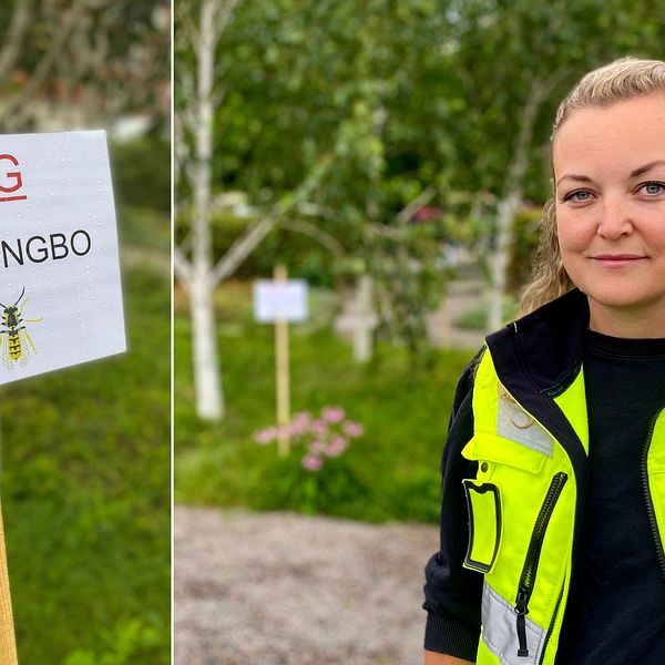 Varningen: Se upp för jordgetingar i Eskilstuna | SVT Nyheter
