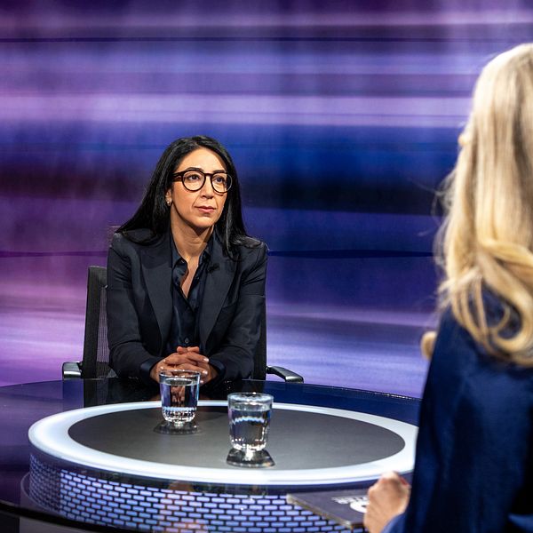 Från riskkapitalist till grön industrimogul – vem är Harald Mix? | SVT ...