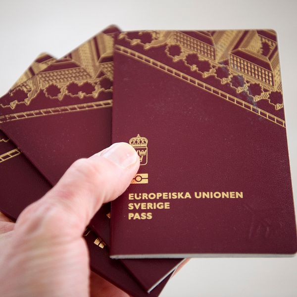 Polismyndigheten | SVT Nyheter