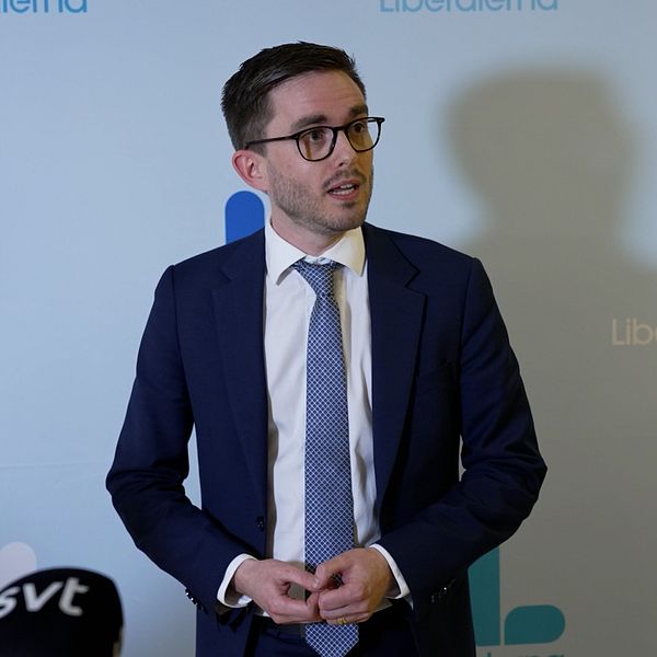 Liberalerna | SVT Nyheter