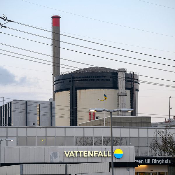 Moska Hassas ny SSU-ordförande | SVT Nyheter