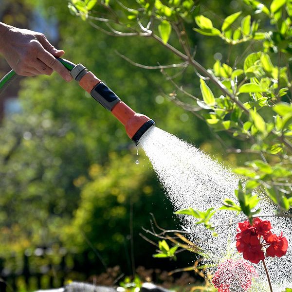 Uppmaningen i torkan: ”Spara vatten” | SVT Nyheter