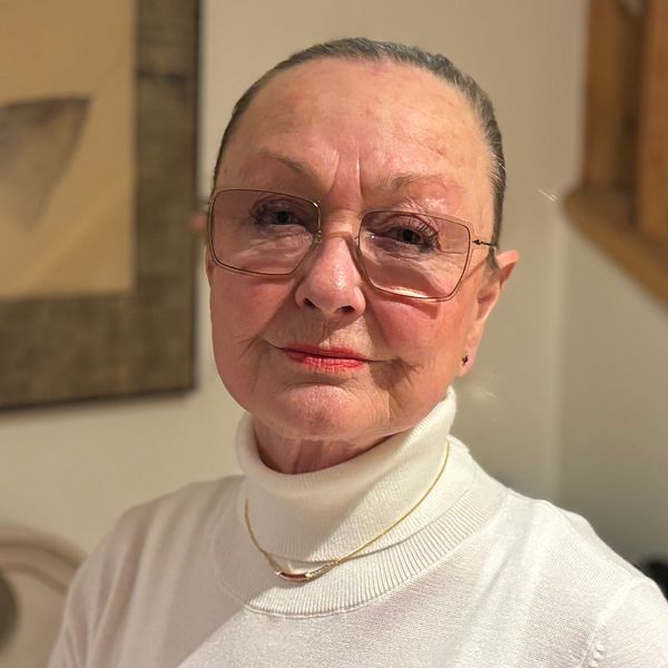 Skott mot hus och bil i Gällivare kommun – man anhållen | SVT Nyheter