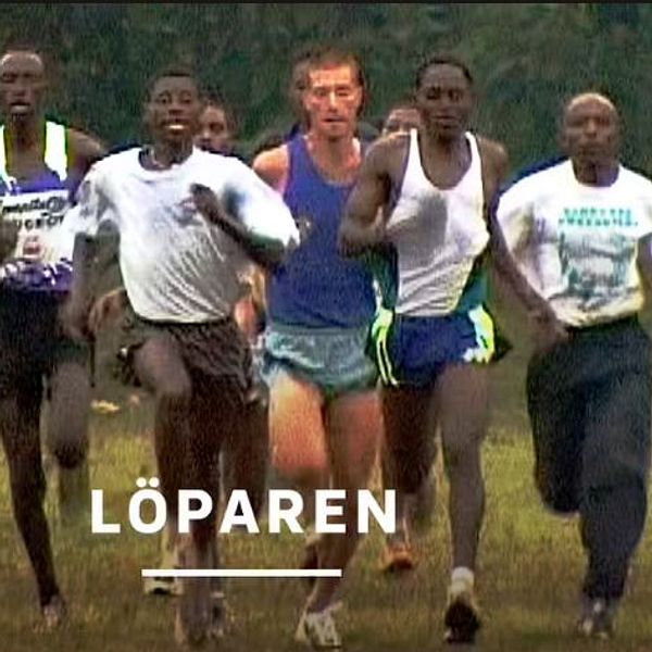 Markus Torgeby gick 50 mil och bar tre ton för att bygga hus – skildras ...