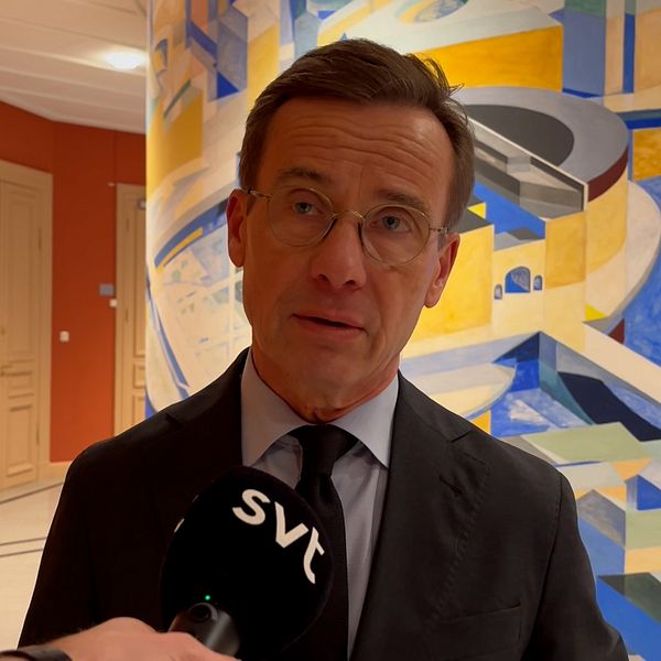 Liu-forskaren om glesbygden: ”De driver en ganska ensam kamp” | SVT Nyheter