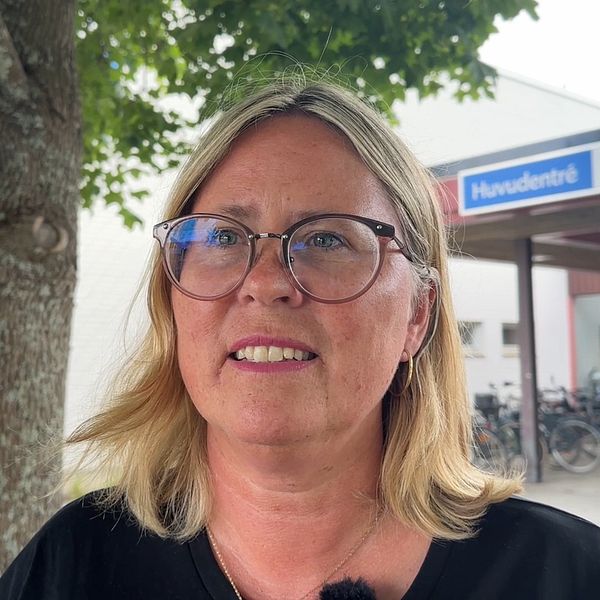 Rekordår för harpest – flest fall i Västerbotten: ”Anmärkningsvärt ...