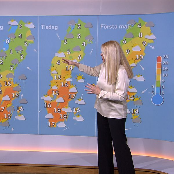 Väderprognos för Malm%C3%B6 | SVT Nyheter