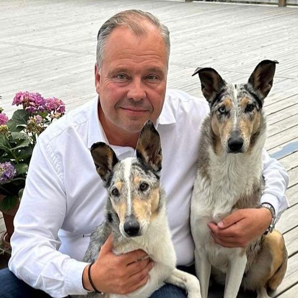 Lista: Så stoppar du en attackerande hund | SVT Nyheter