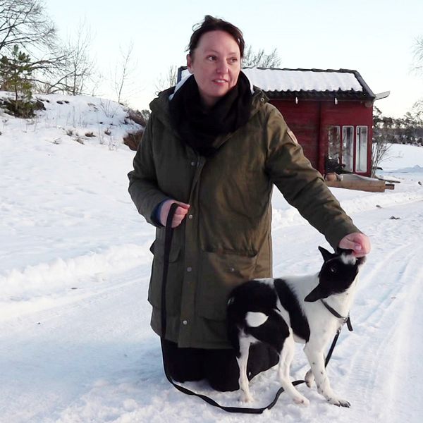 Bortlämnade hundar i allt sämre skick – ägare har inte råd med vård ...