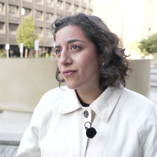 MSB byter namn och får Mikael Frisell som ny generaldirektör | SVT Nyheter